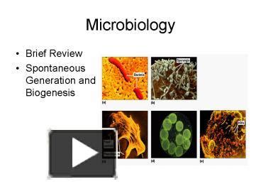 PPT Microbiology PowerPoint Presentation Free To View Id Ab ZmU M