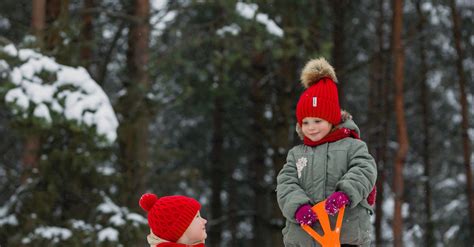 가문비 나무 가지 가족 시간 겨울 겨울 옷 겨울 활동 계절 나무 녹색 썰매 녹색 자켓 놀이 놀이터 눈 눈