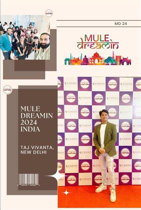 Ravi P On Linkedin Salesforce Mulesoft Muledreamin Ai Ohana Salesforcedatacloud…