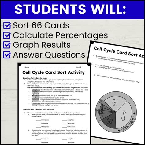 Cell Cycle And Mitosis Sorting Lab Paper Based Review Activity Grades