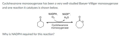 Solved Cyclohexanone Monooxygenase Has Been A Very