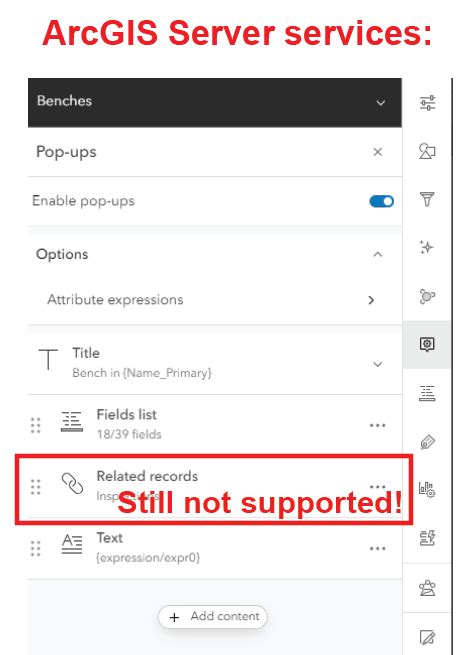 Cant View Related Records Option Using A Webser Esri Community