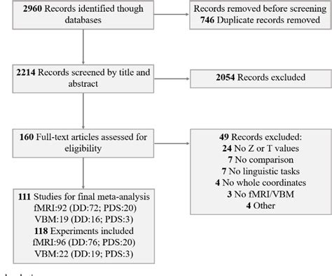 Figure 1 From The Shared Neurobiological Basis Of Developmental Dyslexia And Developmental