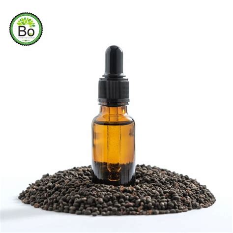 Pure Babchi Seed At ₹ 150kg Babchi Seeds In Raipur Id 2853377330297