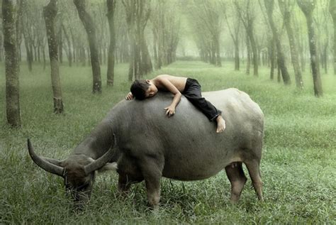 Links Naked Capitalism