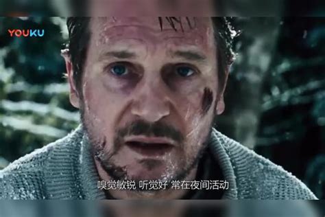 不说狮子老虎 一个成年男人赤手空拳 打得过一只狼或者鬣狗吗成年鬣狗男人