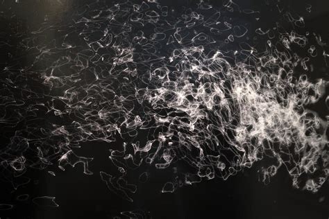 No Input No Output — Creative Nowhere Land No Input No Output — Creative Nowhere Land