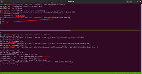 Guzzle Stuck When Host Becomes Unavailable With No Route To Host Error And Remains Stuck