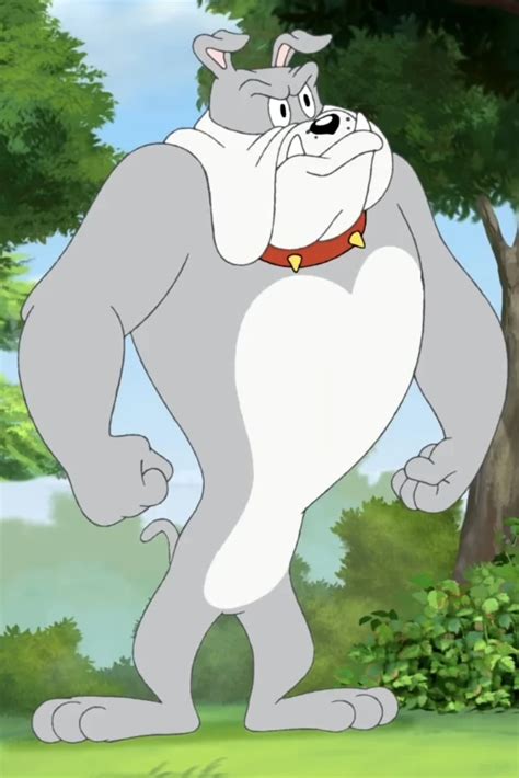 Tom E Jerry Spike The Tom And Jerry Show Season 3 Episode 74