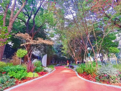 打造“15分钟社区美好生活圈”，长宁新增一座“口袋公园”澎湃号·媒体澎湃新闻 The Paper