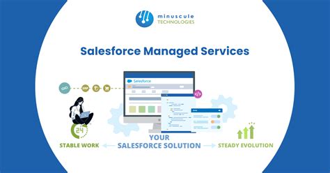 Salesforce Managed Services Minuscule Technologies
