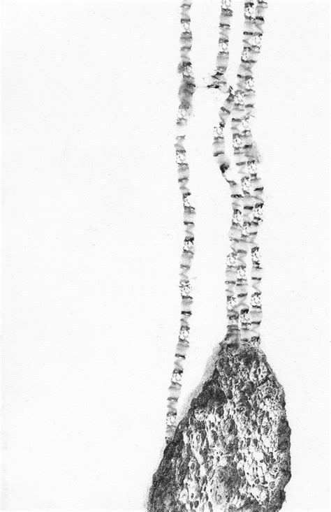 Squint — Portfolio