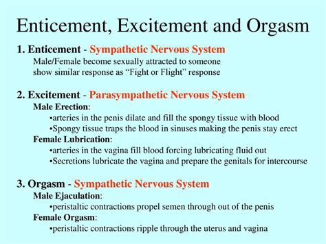 Male Reproductive System Ppt Download