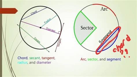 Solved Does A Segment Always Contain A Chord And An Arc Chegg Com