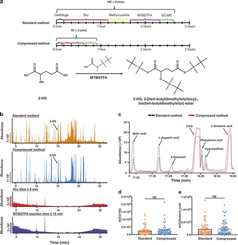 A Compressed GC MS Method For Rapid 2 HG Detection A Diagram Showing Download Scientific