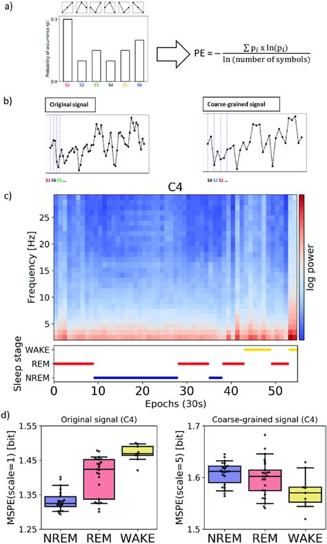 Multi Scale Permutation Entropy As Useful Feature For Neonatal Sleep