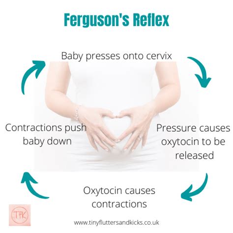 Inducing Labour Naturally Tiny Flutters And Kicks