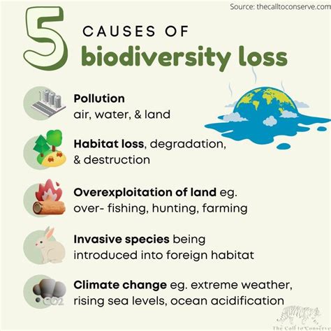 Facts About Biodiversity Loss At Andrea Loftus Blog
