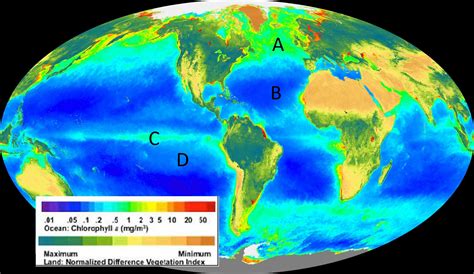Solved 23 Based On The Figure Below Which Region Of The