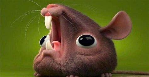 Meme Template Crying Rat Album On Imgur