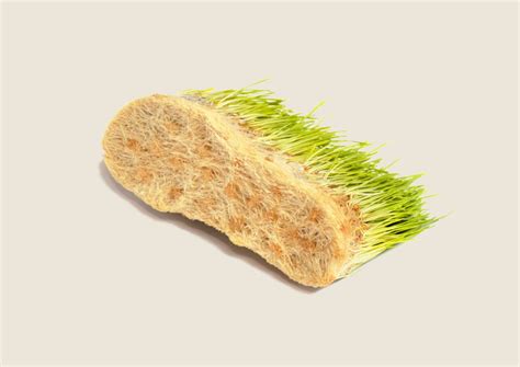 Wheatgrass Gallery Future Materials Bank