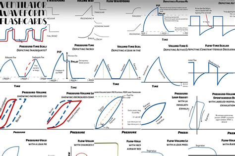 Ventilator Waveform Flashcards Etsy