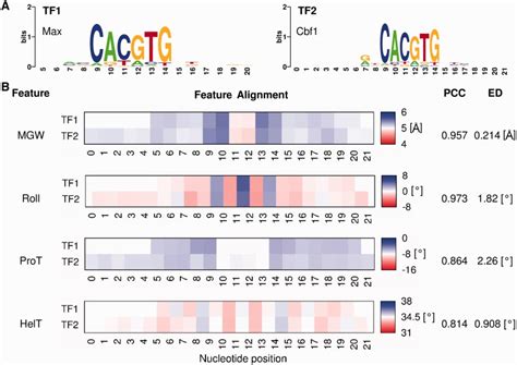 example tfbsshape comparison of dna shape preferences of two tf download scientific diagram