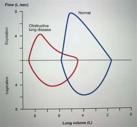pulmonary function tests flashcards quizlet