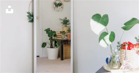 흰색 테이블에 녹색 화분에 심은 식물 사진 Unsplash의 무료 거울 이미지