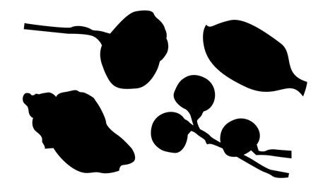 Lilova Bakery Fonts In Use