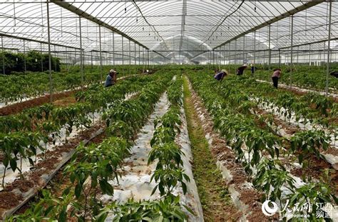 长征路上奔小康大型主题采访活动 地方领导 人民网
