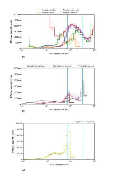 Historical Demography And Species Distribution Models Shed Light On Speciation In Primates Of