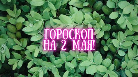 🌒Гороскоп на 2 мая для каждого знака зодиака самые эффективные