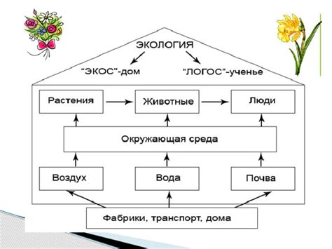 Презентация к уроку окружающего мира в 3 классе по теме Что такое экология