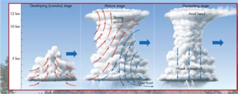 Chapter 10 Thunderstorms And Tornadoes Flashcards Quizlet