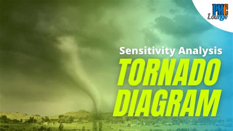 Sensitivity Analysis Using Tornado Diagrams