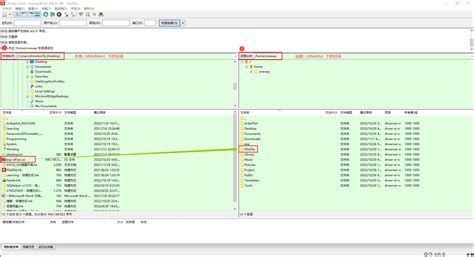 Ubuntu和windows之间文件无损互传ubuntu 拷贝mp4 Windows Csdn博客