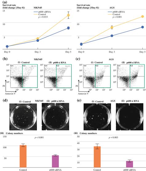 Inhibition Of P600 Sensitizes Gastric Cancer Cells To Anoikis And