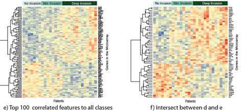 Heat Maps For The Top Correlated Features In The Pair Wise Experiments