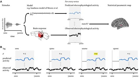 Technique Overview First A The Electrophysiological Activity Of The Download Scientific