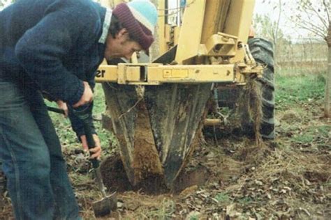 Tree Spade Sequence 1989