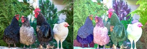 Charles Cozad On Linkedin Image Segmentation