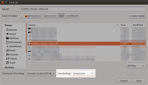 Newline Bash Script Binbashm Bad Interpreter No Such File Or Directory Stack Overflow