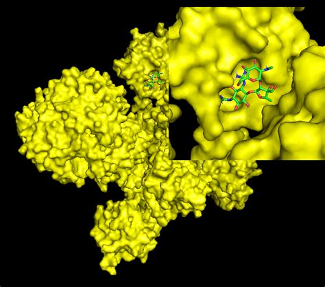 7 Days Workshop On Molecular Simulation Docking And Dynamics Msd Adv Comp Res