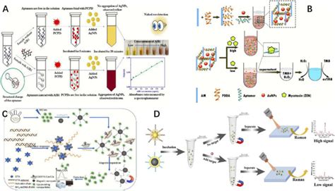 Screening Biotoxin Aptamer And Their Application Of Optical Aptasensor In Food Stuff A Review Pmc