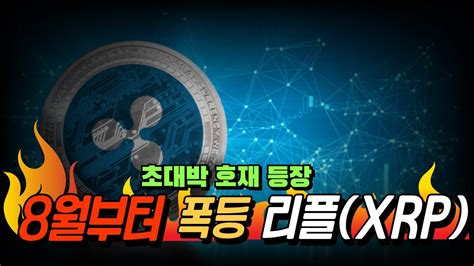 리플 Xrp 긴급속보 리플 8월 드디어 초대박 호재 등장으로 폭등 놓치면 손해 필수시청 Youtube