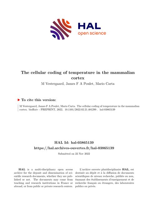 Pdf The Cellular Coding Of Temperature In The Mammalian Cortex