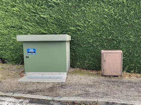 How To Hide Transformer Box In The Yard Beautifully