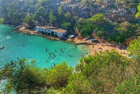 Mallorca Airport To Can Picafort Transfers All Compare Ways