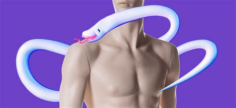 Зачем мужчинам соски как они развиваются и почему не совсем бесполезны